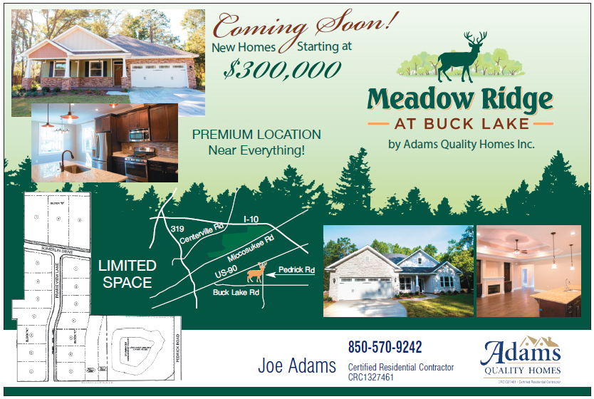 MeadowRidgeFlyer - Adams Quality Homes
